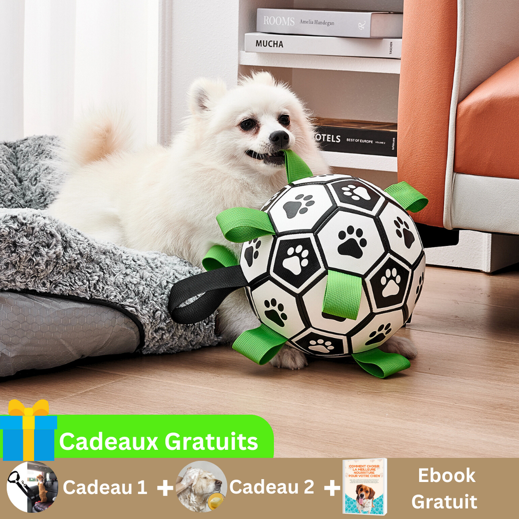 Wouf chien: La meilleure boutique d'accessoires pour chien